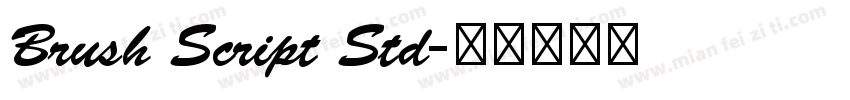Brush Script Std免费下载-在线字体预览转换 - 免费字体网