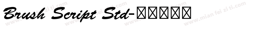 Brush Script Std免费下载-在线字体预览转换 - 免费字体网